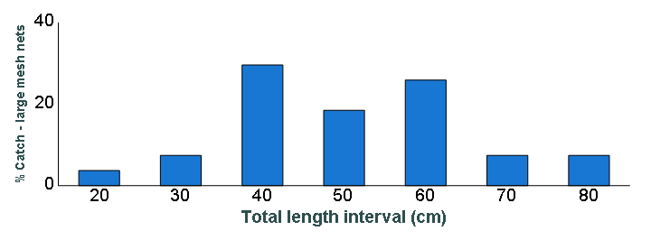Lake Bulletin - Dinorwic Lake